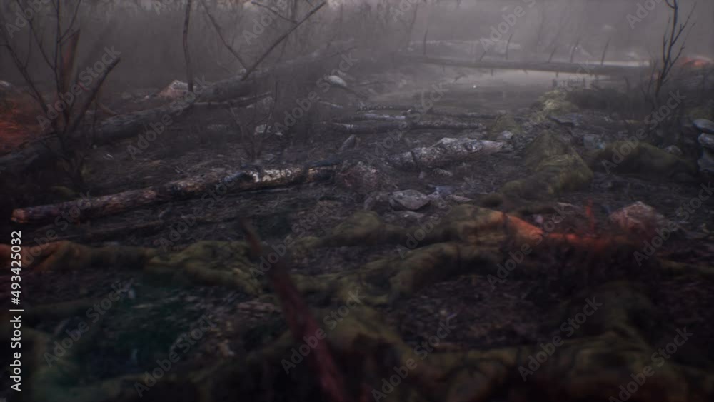 Smoky misty forest and burning dry plants and trees. Smoke clouds and ...