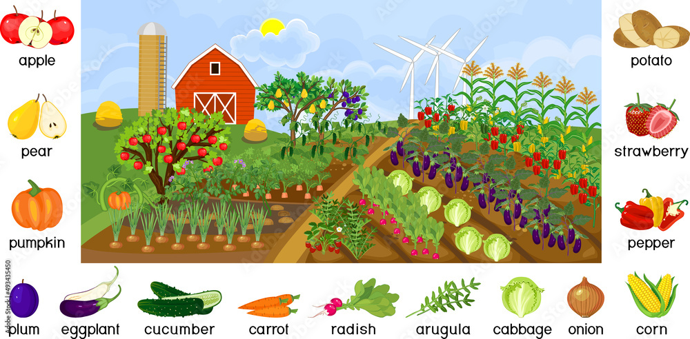 Farm Crops Cartoon