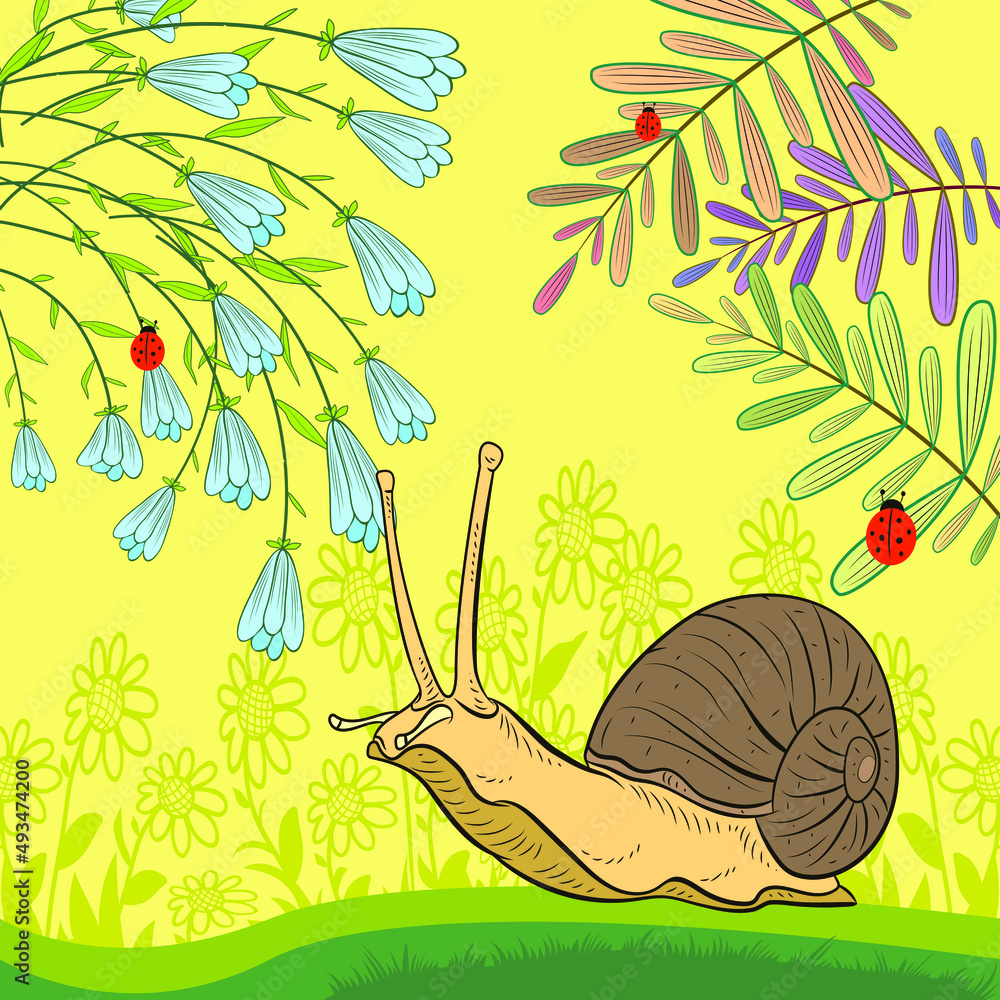 Snail on a background of flowers. Vector drawing. Color image ...