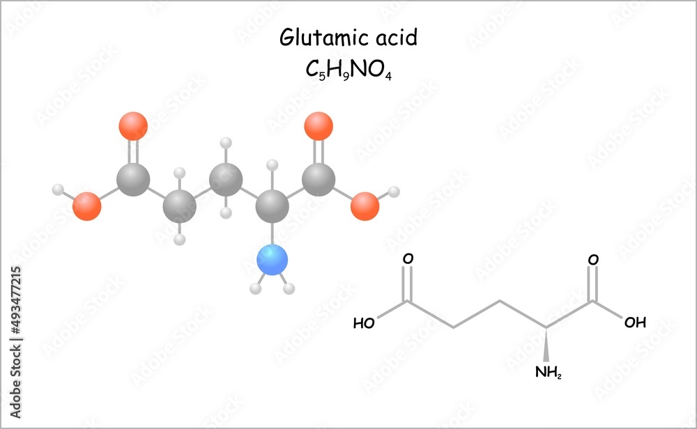 Stylized molecule model and skeletal formula of the amino acid glutamic ...