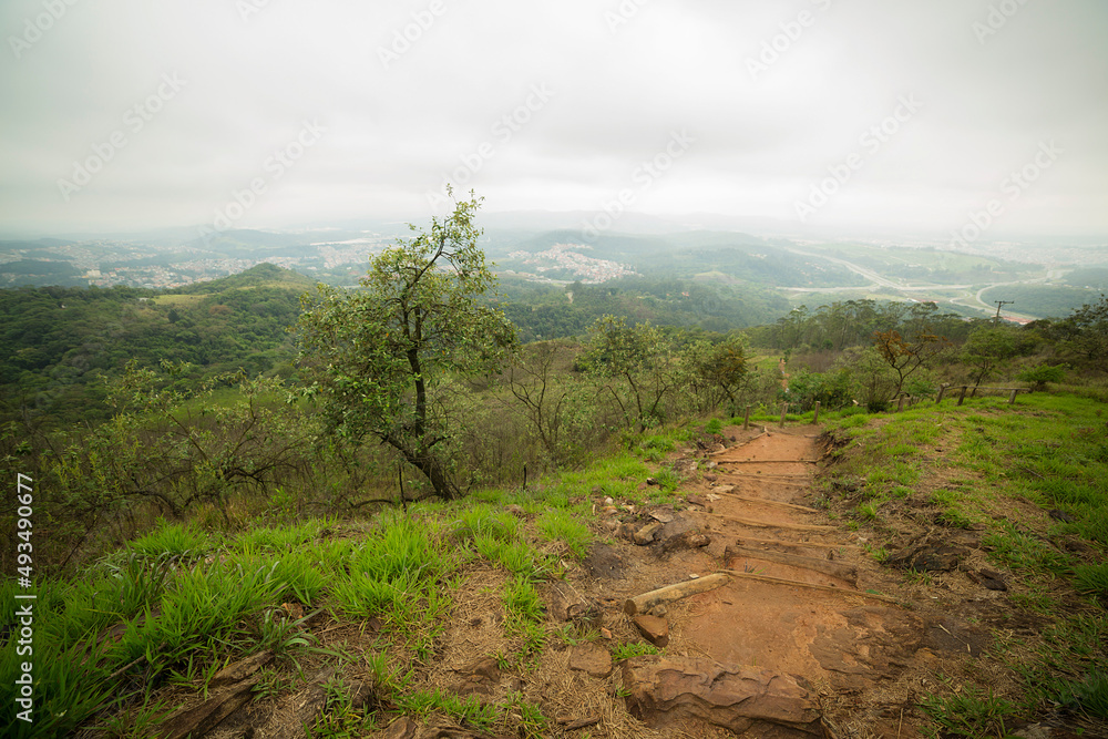Trilha Pai Zé, Pico do Jaraguá, São Paulo, Brasil. Stock Photo | Adobe ...