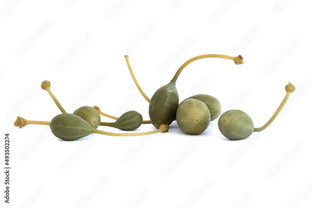 Fleurs de câpres Stock Photo | Adobe Stock