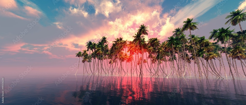 Palm trees over water at sunset, seascape with palm trees, palm trees ...