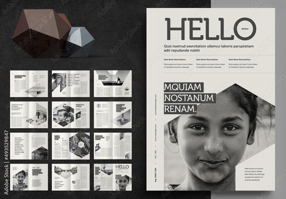 Magazine Layout Stock Template | Adobe Stock