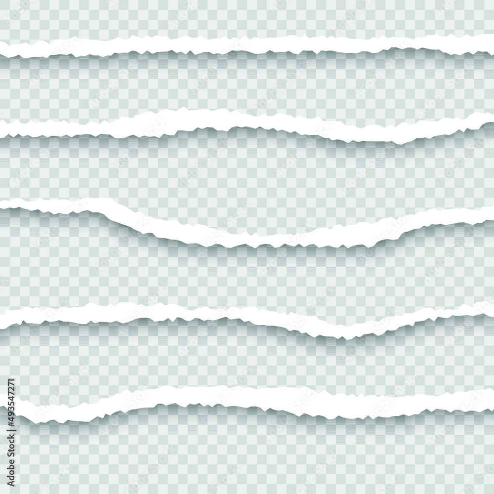 Ripped paper texture on transparent background vector Stock Vector ...