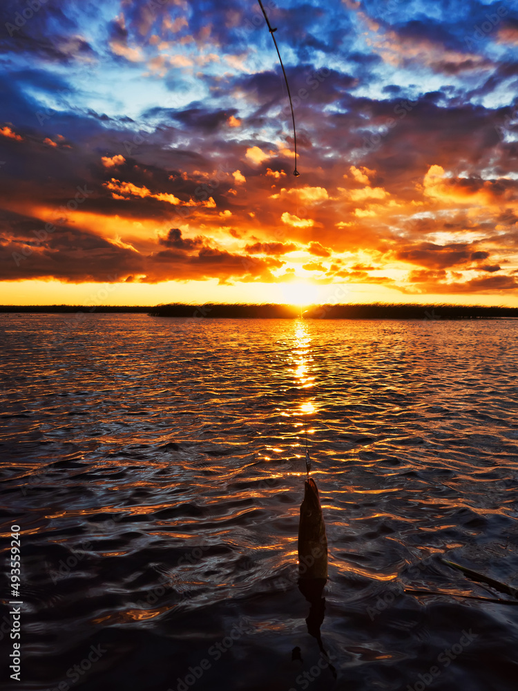 Fishing at sunset. Catching predatory fish on spinning. Sunset colors ...