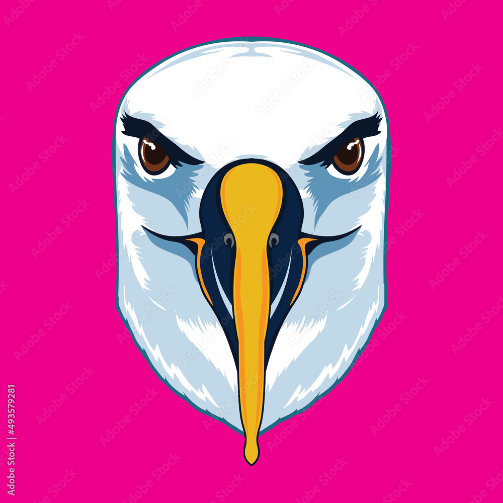 Cute and colorful birds face vector illustration in decorative style ...