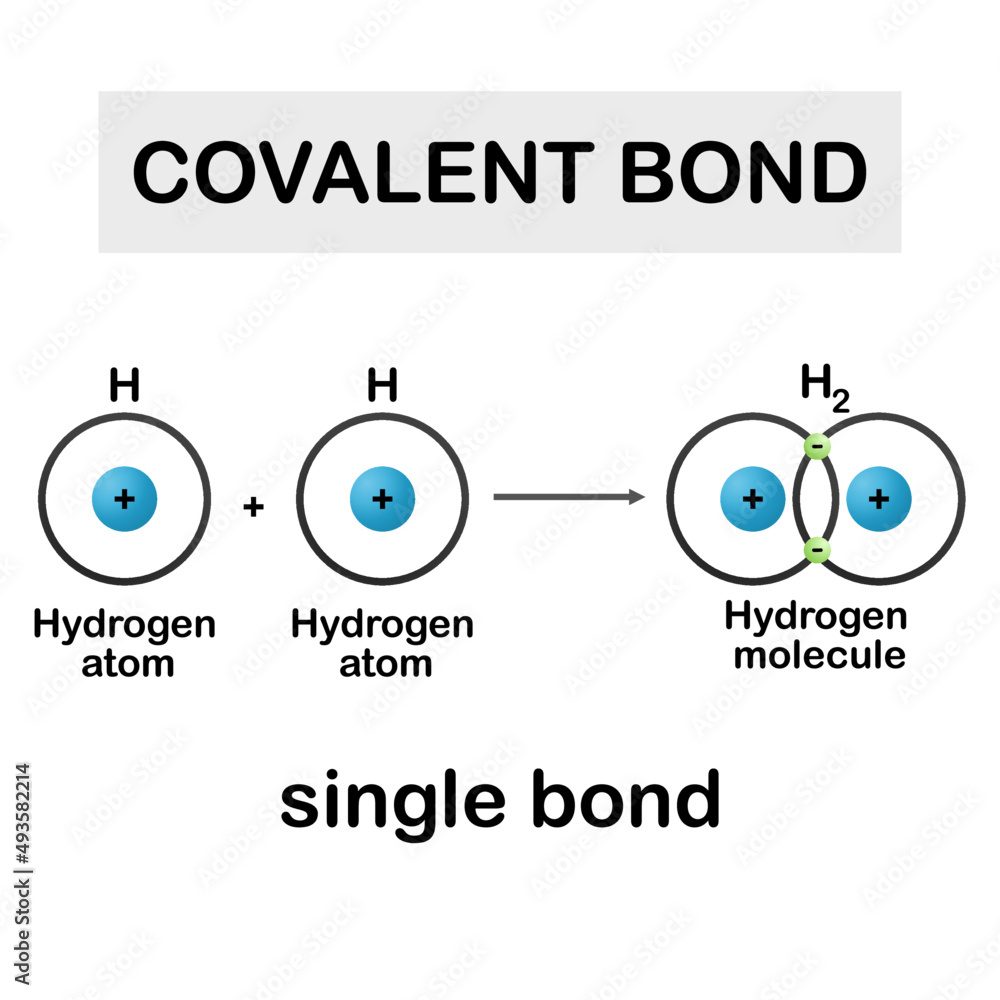 Isolated Covalent bond type on white background.Vector illustration ...
