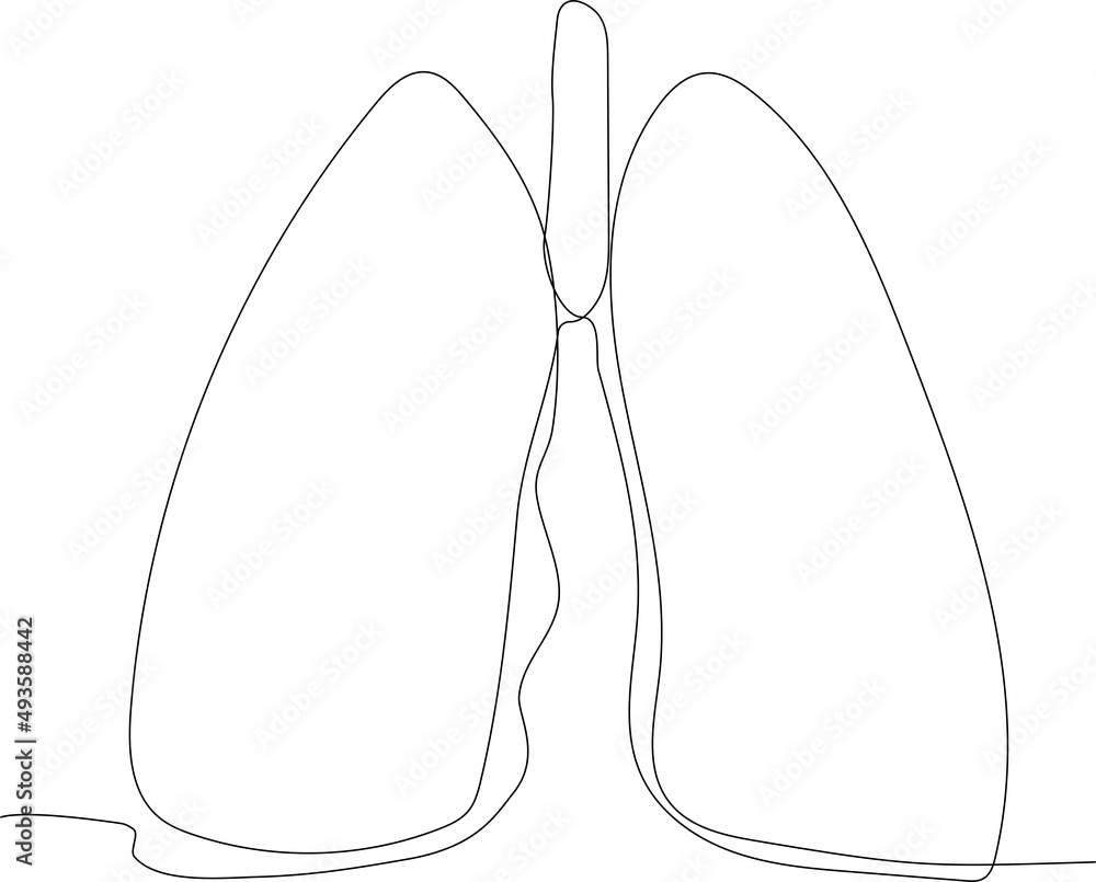 Continuous one line drawing of pulmonary lung vector graphic design ...
