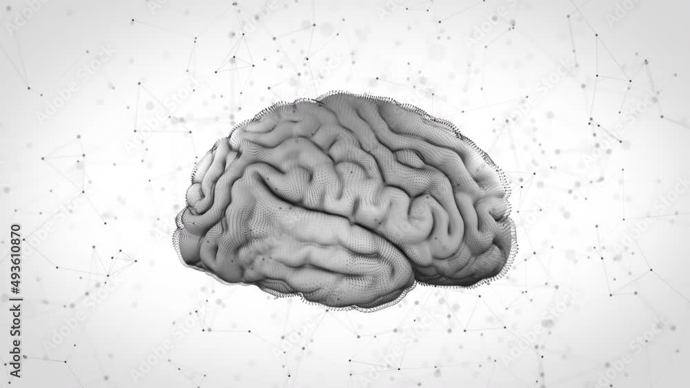 3d render of a human brain rotating on the white background with ...