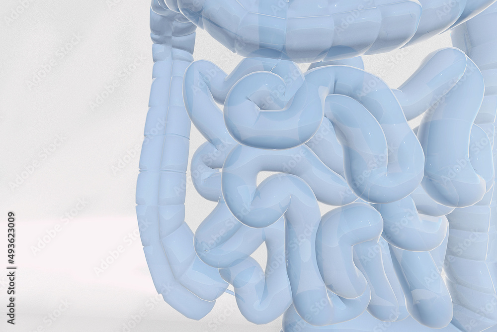 Blue human intestine with bowel on white background, 3D rendering Stock ...