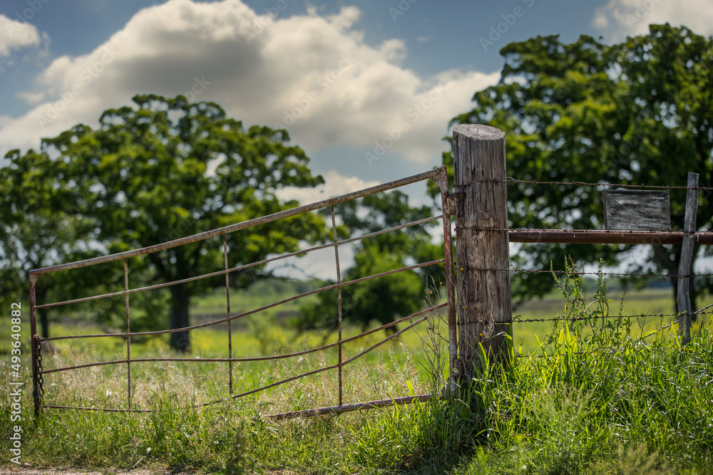 Old fence post and gate that enters into green pasture and oak trees on ...