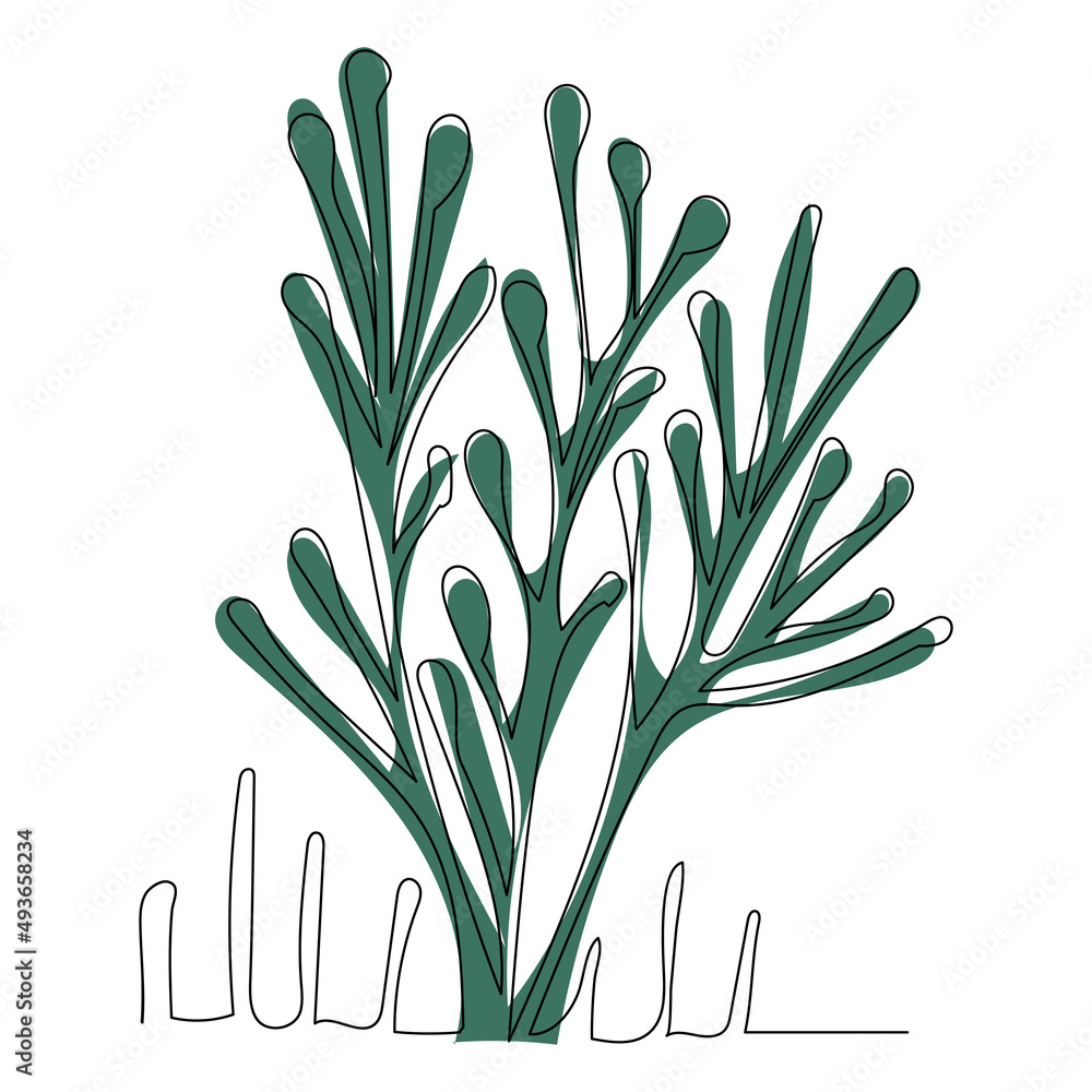 green algae one line drawing vector Stock Vector | Adobe Stock
