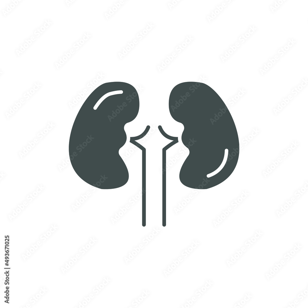 Kidney icons symbol vector elements for infographic web Stock Vector ...