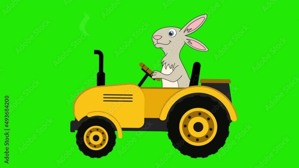 Animation of yellow tractor with Rabbit. Bunny or Hare is a tractor ...