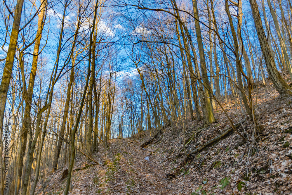 Early spring hike, hiking trail during perfect spring day with blue sky ...
