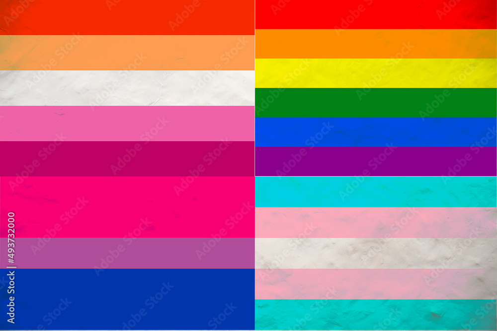 collection of LGBT community different pride flags: lesbian, gay ...