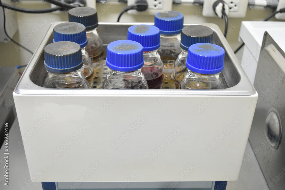 Agar for inoculum in Bottle on water bath at laboratory. Stock Photo ...