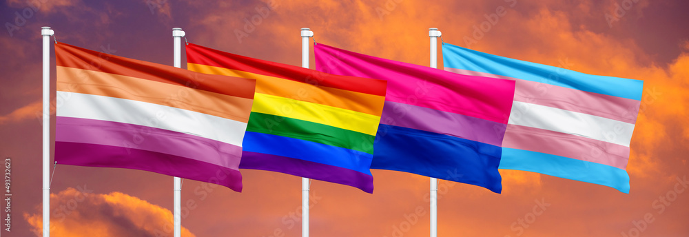 collection of LGBT community different pride flags: lesbian, gay ...