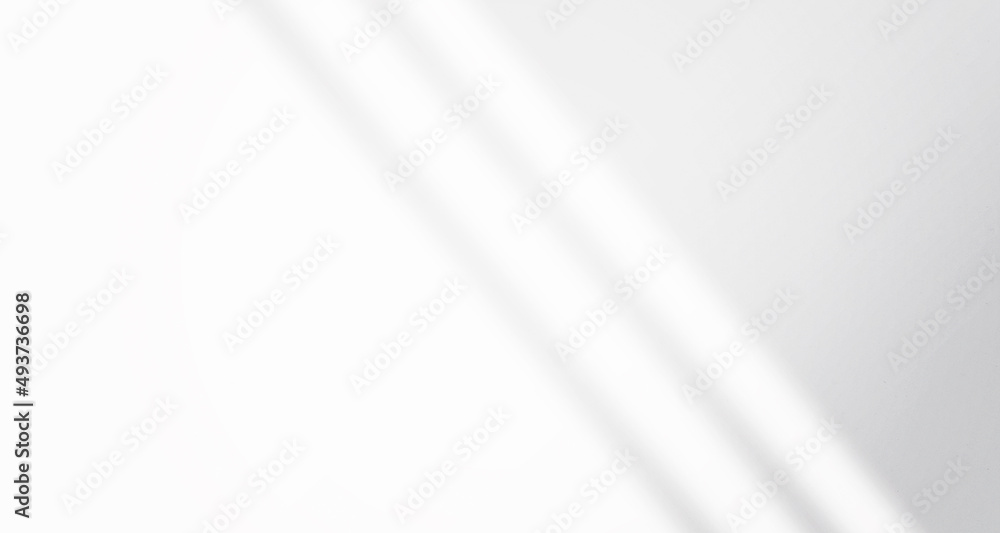 Realistic and minimalist blurred natural light windows and leaves ...