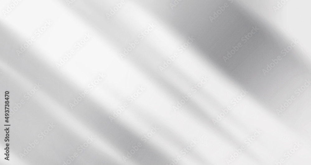 Realistic and minimalist blurred natural light windows and leaves ...