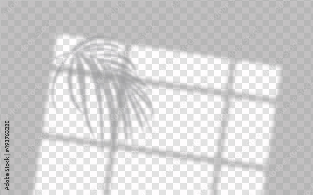 Realistic shadow of tropical leaves or branches on transparent ...