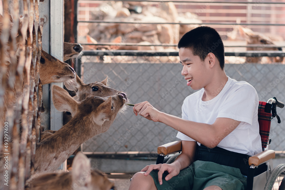 Teenager boy with a disability feeding pets with smile and happy face ...