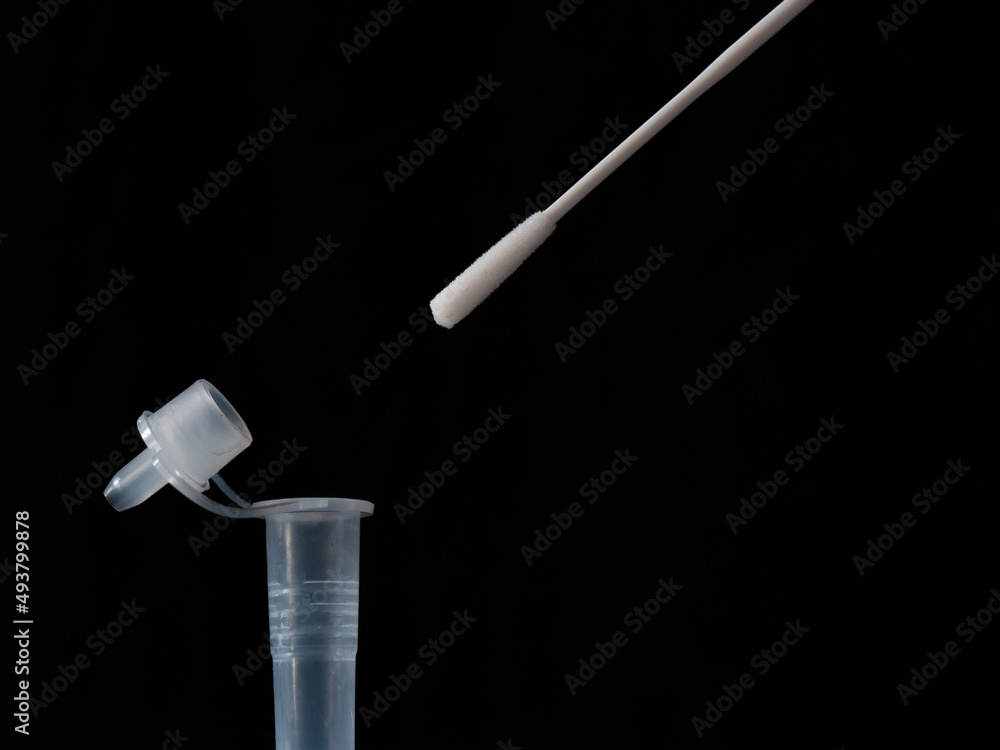 Processing sample of RSV test / COVID-19 antigen rapid test isolated on ...