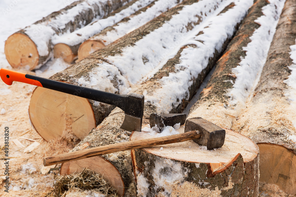 Harvesting pine wood for the winter. Split a log with a sledgehammer ...