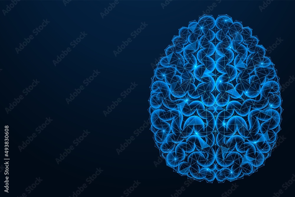Convolutions of the human brain. Top view. A low-poly design consisting ...