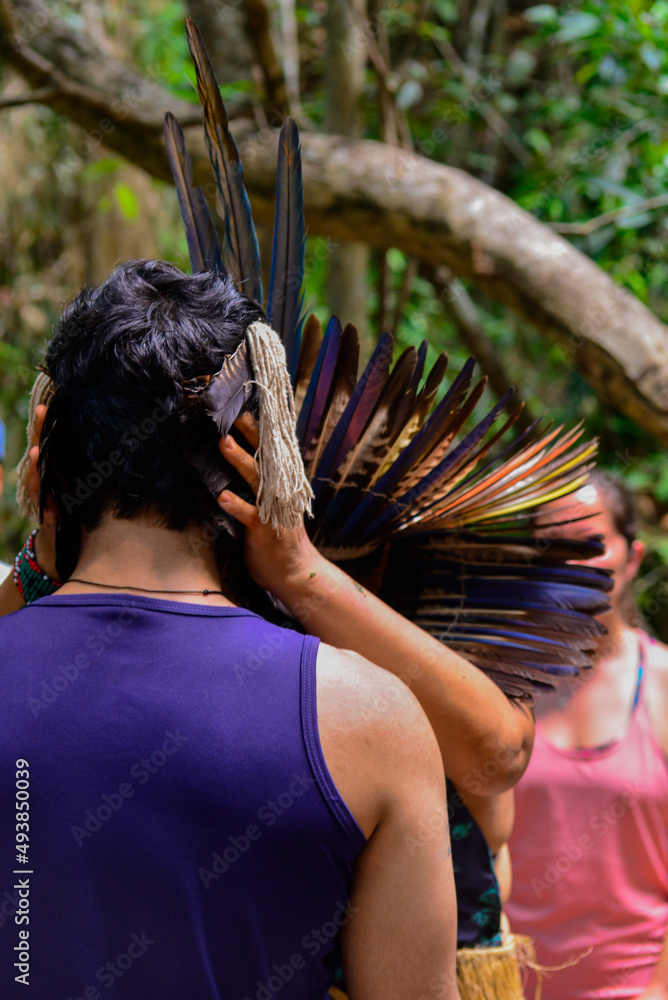blessing in indigenous ritual, healing ritual, ritual in the forest ...