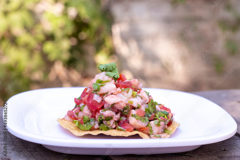 Tostada de ceviche de pescado Stock Photo | Adobe Stock