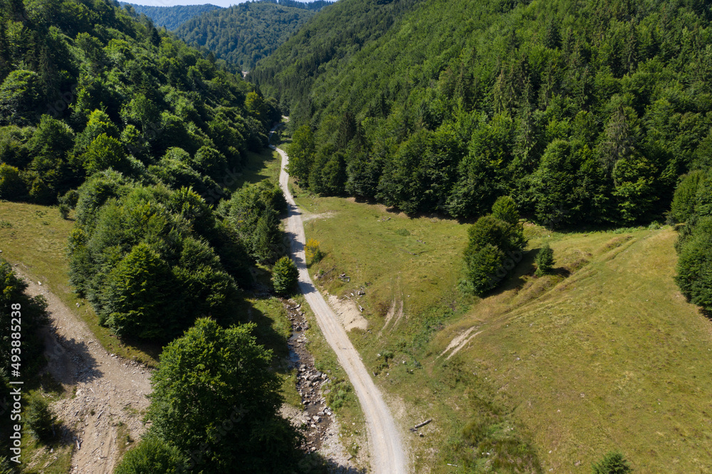 Flying above a valley and deciduous forest by drone Stock Photo | Adobe ...