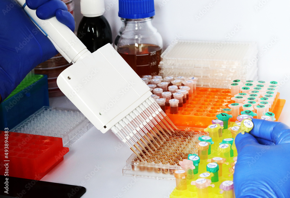 Working with a multichannel micropipette in the laboratory of ...