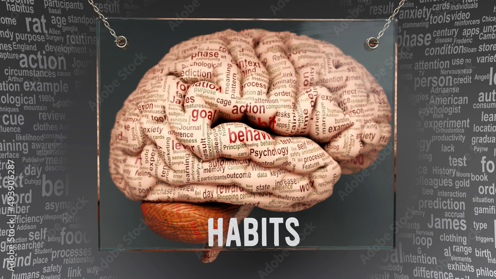 Habits anatomy - its causes and effects projected on a human brain ...