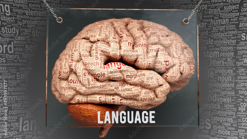 Language anatomy - its causes and effects projected on a human brain ...