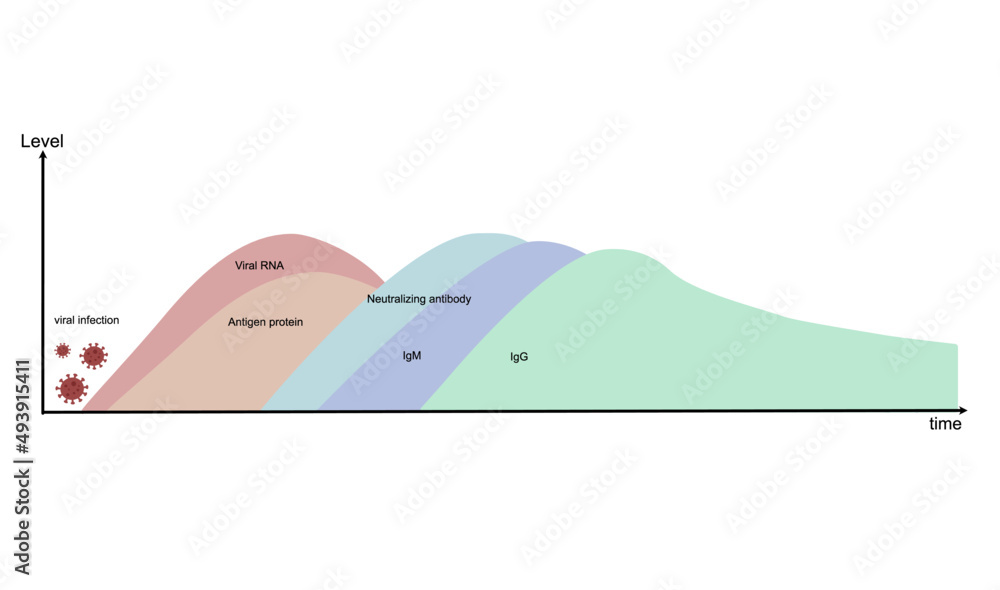 The diagram of biomarker level ( RNA, Antigen protein, Neutralizing ...