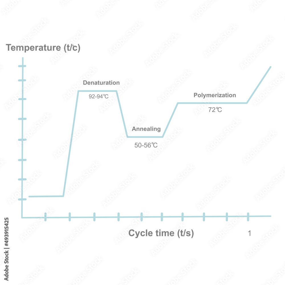 The polymerase chain reaction (PCR) graph that shown the correlation ... The polymerase chain reaction (PCR) graph that shown the correlation ...