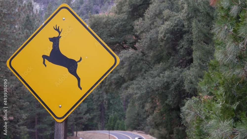 Deer crossing warning yellow sign, California USA. Wild animals xing ...
