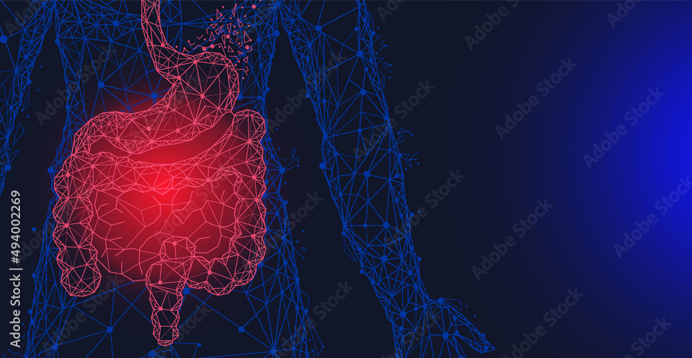 Polygonal stomach and intestines. Medical research of internal organs ...