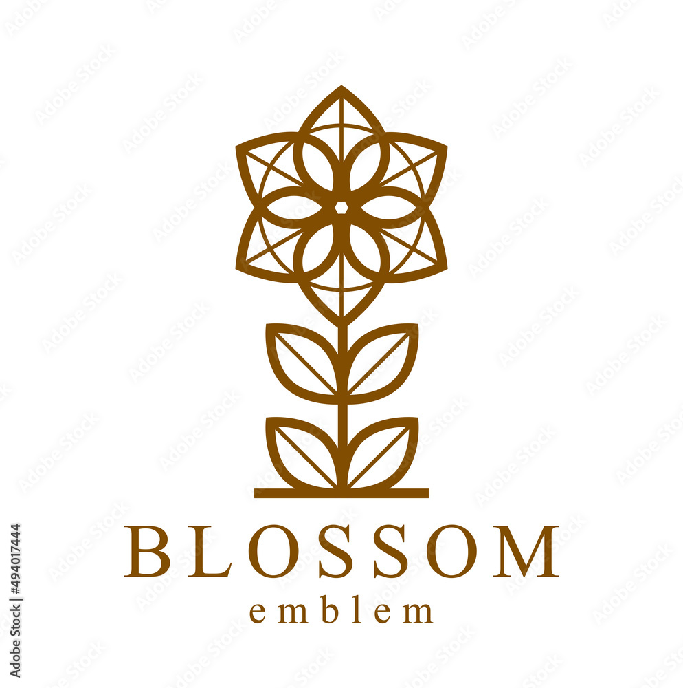 Beautiful geometric flower logo vector linear design isolated on white ...