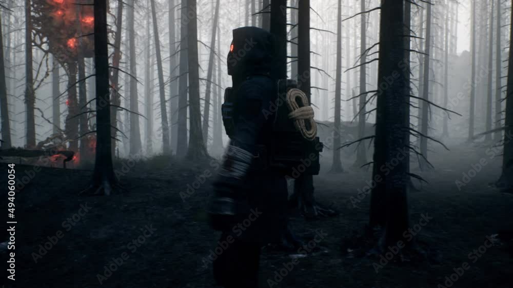 Surviving the dark, burnt-out forest after the nuclear and chemical ...