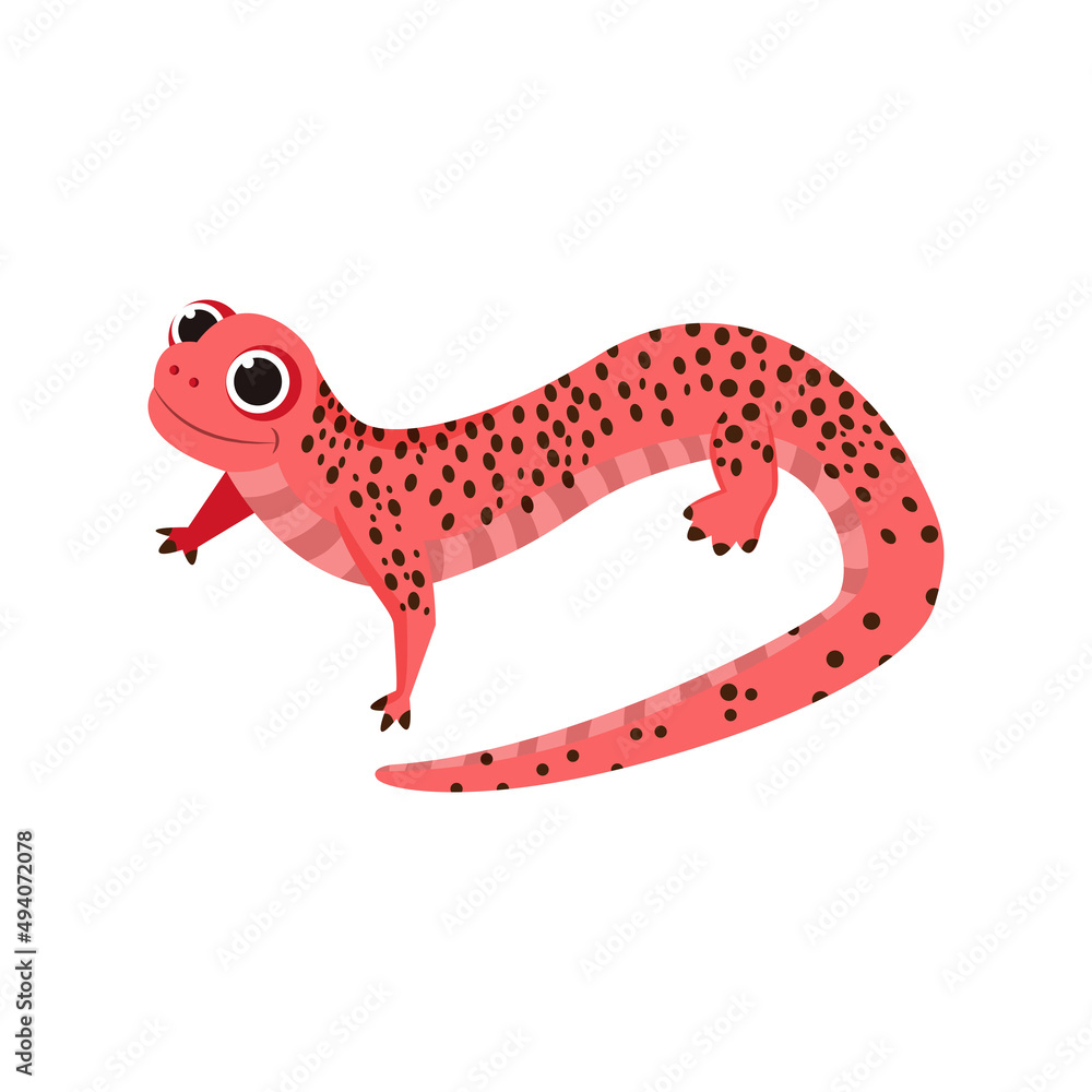 Isolated red salamander animated animals jungle vector illustration ...
