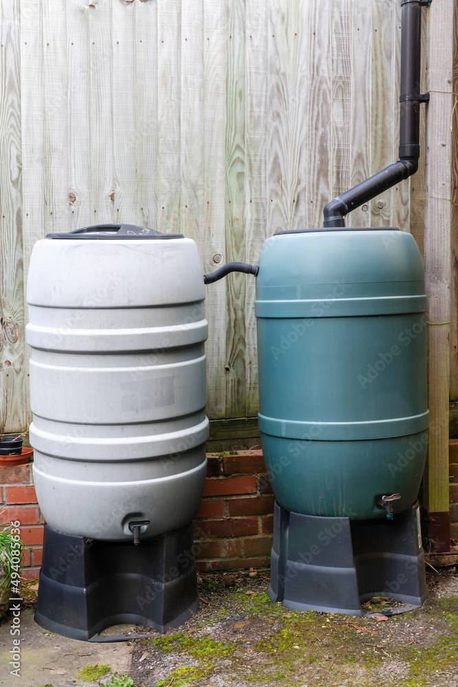 Precious rainwater runs down a downpipe and is collected in two large ...