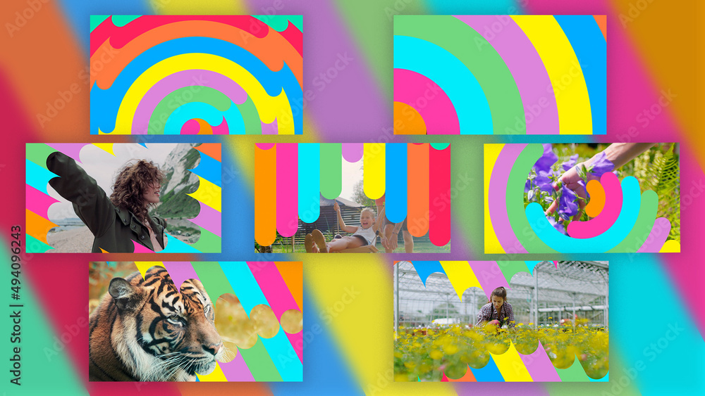 Rounded Shape Colorful Transitions Stock Template | Adobe Stock