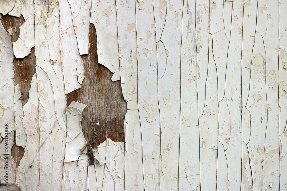 cracked wood texture and peeling white paint with holes on a weathered ...