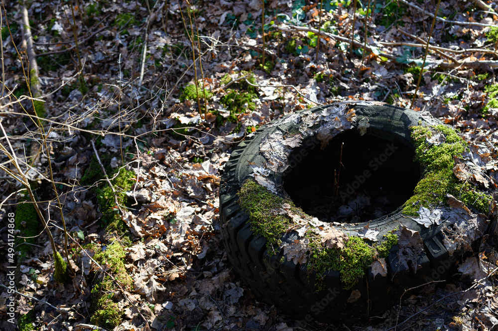 Trash in nature. Old truck tyre discarded in a forest covered in moss ...