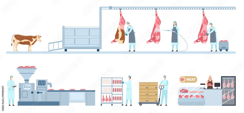 Beef product manufacture process infographic from farm cow to market ...