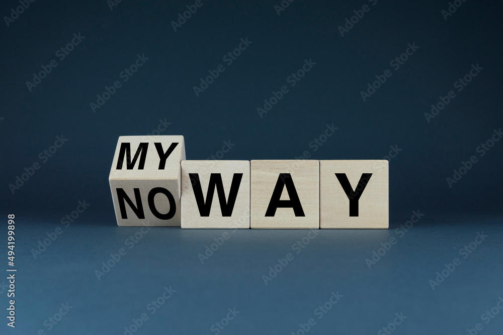Cubes form words My way - no way. Concept of choice in business, work ...