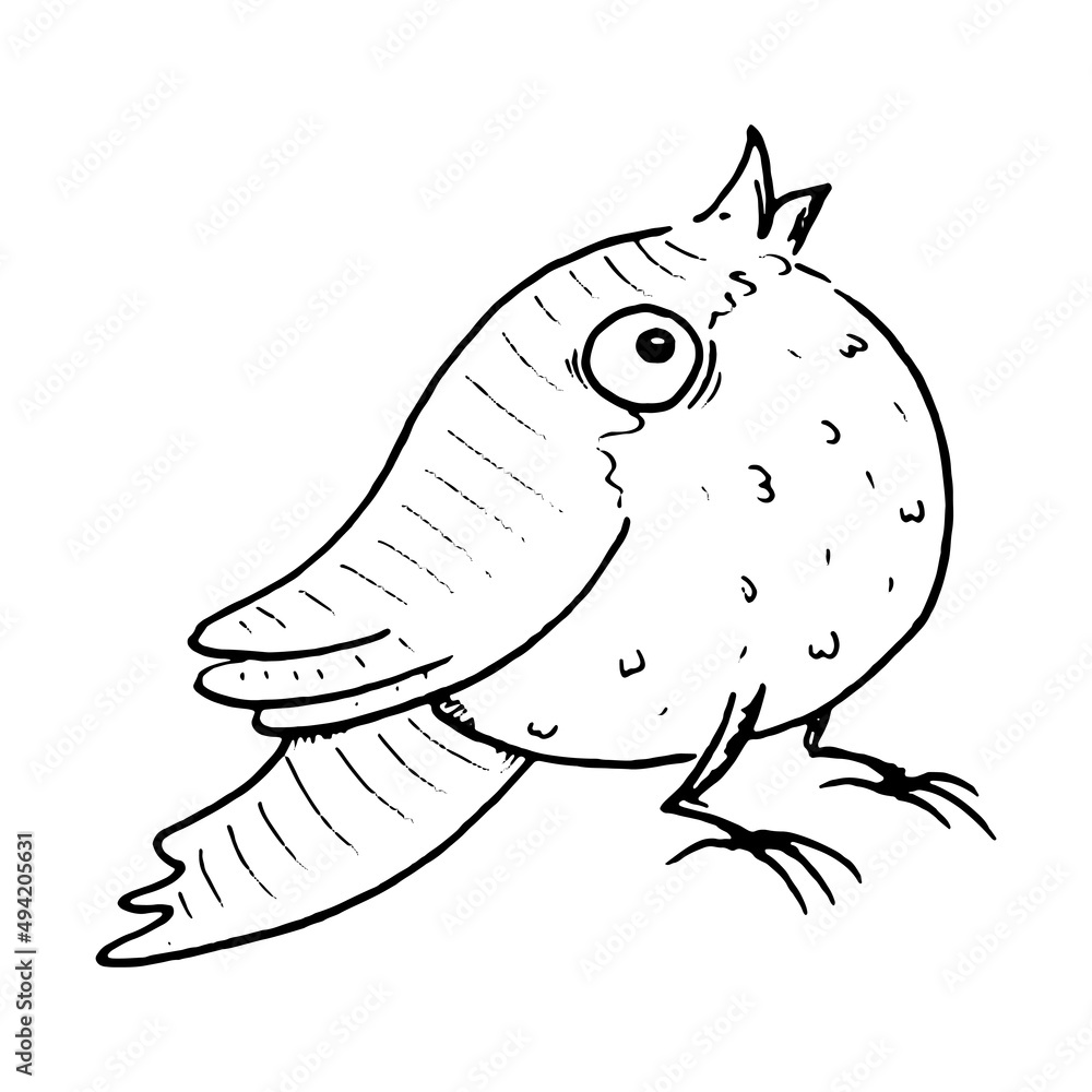 Bird cartoon sketch hand drawn. Vector illustration of a singing bird ...